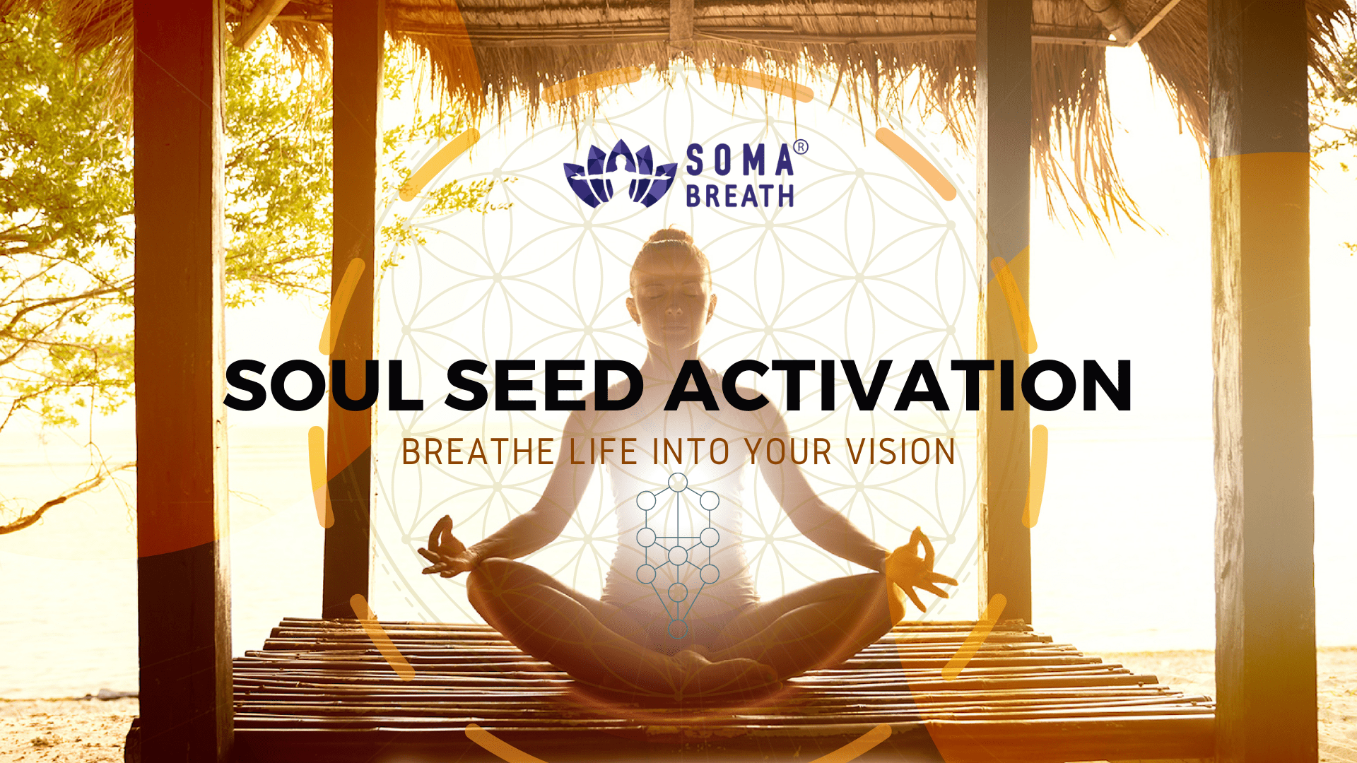 SOMA SOUL SEED ACTIVATION - SoulTribe Sisters
